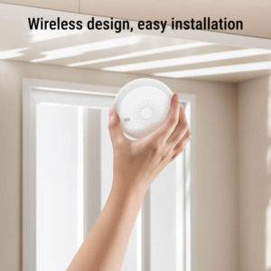 Photoelectric Vs Ionization Smoke Detectors, Choosing The Right One For ...